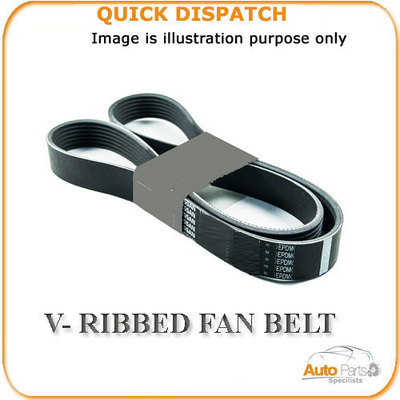 13AV0875 V-RIBBED FAN BELT FOR DAEWOO ESPERO 1.8 1995-1999 | eBay UK