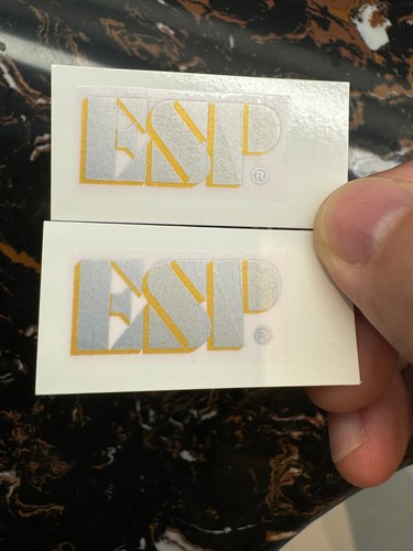 2Pcs Custom Made Silver ESP Guitar Headstock Waterslide Transfer Decals ...