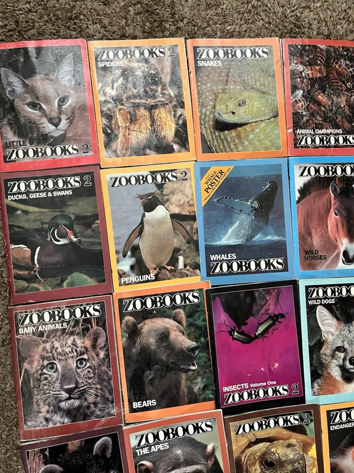 Vintage ZooBooks Magazine Lot of 33 Zoo Books 90s Educational Animals ...