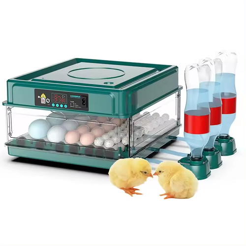 48 Egg Capacity Dual Power Supply Automatic Egg Incubator Egg Hatcher ...
