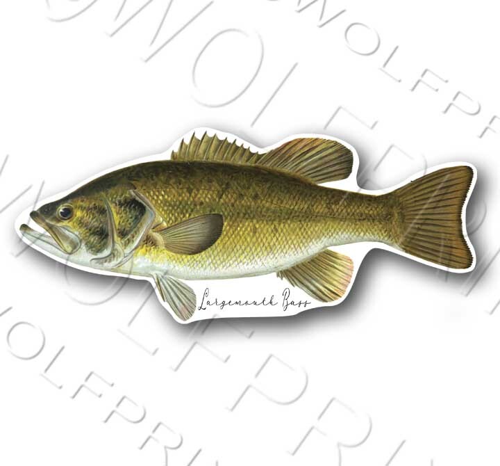 Rainbow Trout Fish Sticker 6" or 11" Wide Walleye Bass Boat Car Window ...