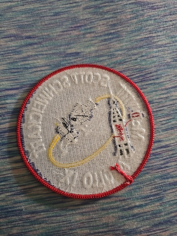 VTG RARE Official NASA Emblems PATCHES Space Missions Willabee Ward ...