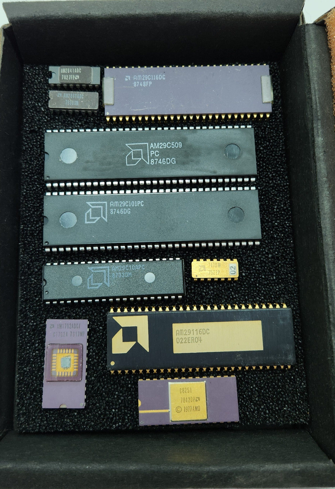 Collection of Vintage AMD Microprocessors Including CERAMIC GOLD pin ...