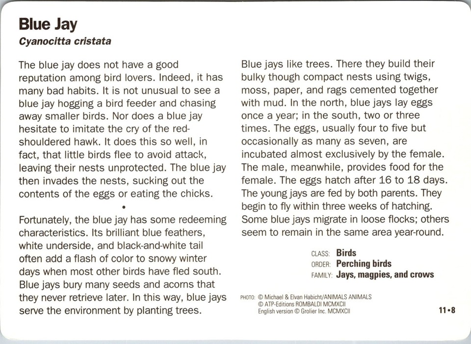 Dr Jim Stamps Maximum Card Blue Jay Forever Fdc | eBay