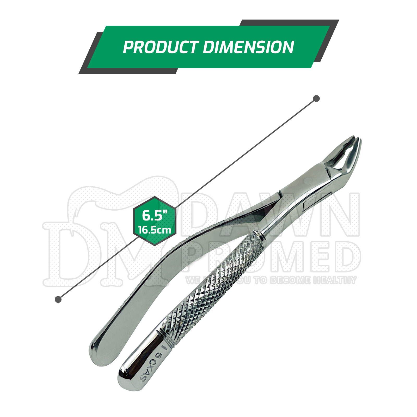 Dental Extracting Forceps #150XAS Serrated, Split Beak for Upper Teeth ...