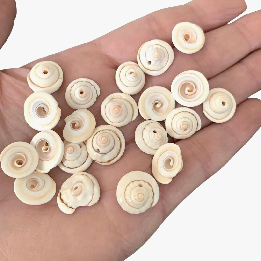 Seashells, Drilled, for Craft and Beads Jewellery 25 shells, SH5 | eBay