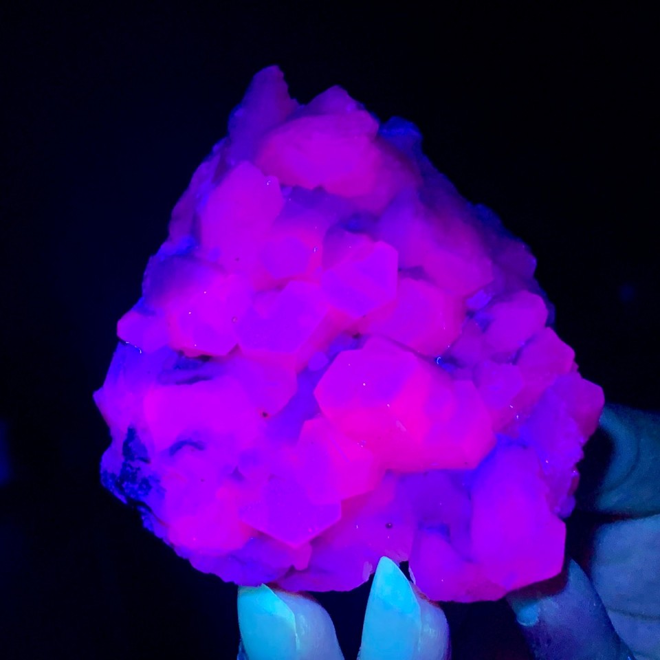 205G Natural Pink Fluorescence Columnar Panda Calcite Mineral Specimen ...