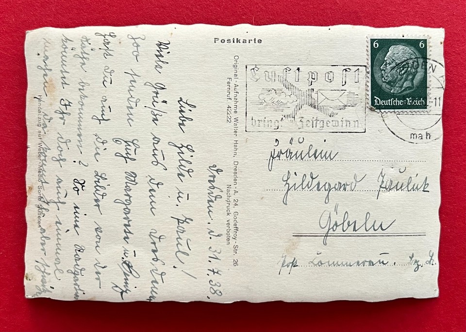 Walter Hahn Foto AK DRESDEN Nr. 11785 1938 Dresdner Zoo Junge Löwen ...