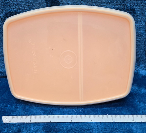 VINTAGE Tupperware Container Divided Lunch Box Cute Retro Mango Yellow ...