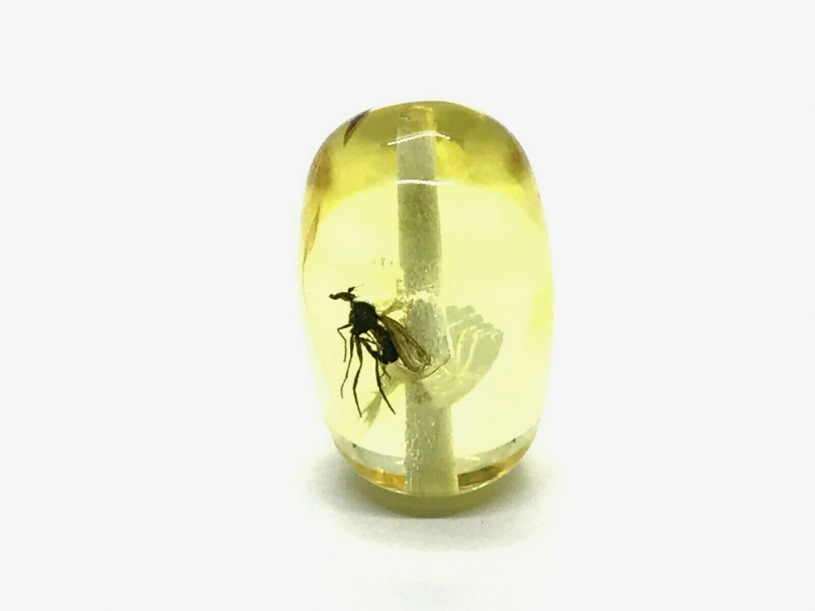 AMBER Insect Gift Barrel Bead DRILLED For Prayer Bracelet Necklace ...