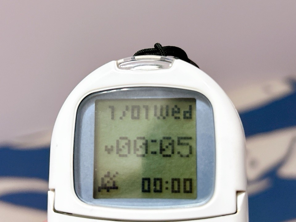 PS1 PocketStation Console SCPH-4000 White Sony Japan Tested w/ Manual ...