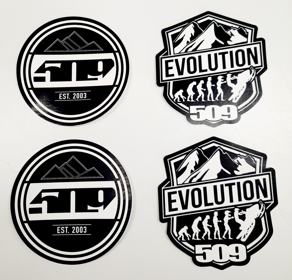 509 Evolution Logo