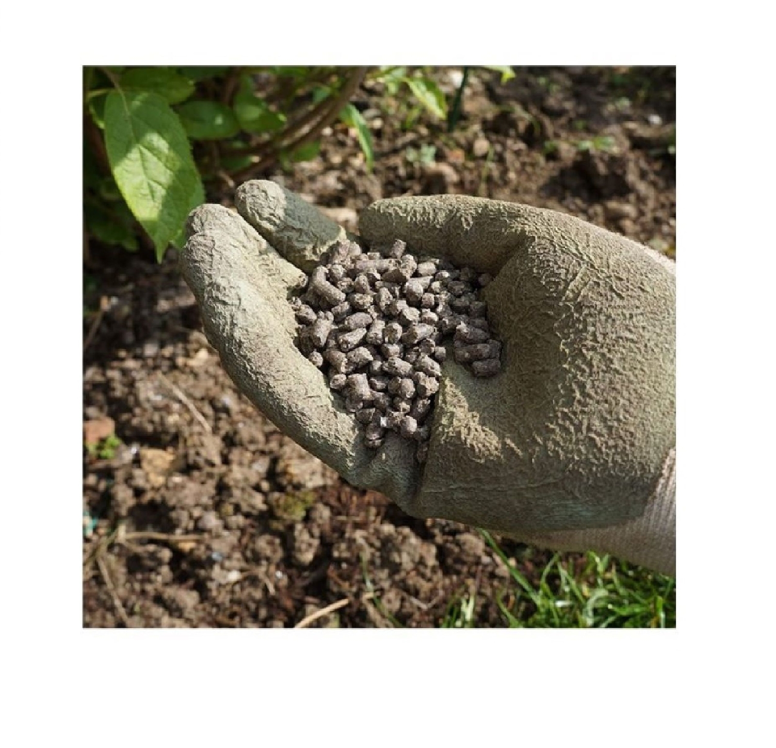 Vitax 6X Natural Poultry Chicken Manure Pellets Organic Plant Feed Lawn ...