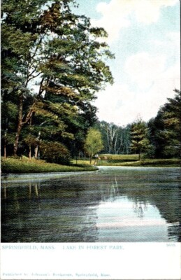 Postcard Springfield Massachusetts Lake in Forest Park Undivided back ...