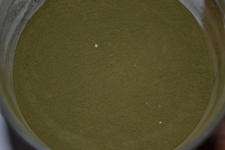 PRO TEC POWDER PAINT 3OZ JAR JIG PAINT U PICK LURE PAINT PROTEC POWDER ...