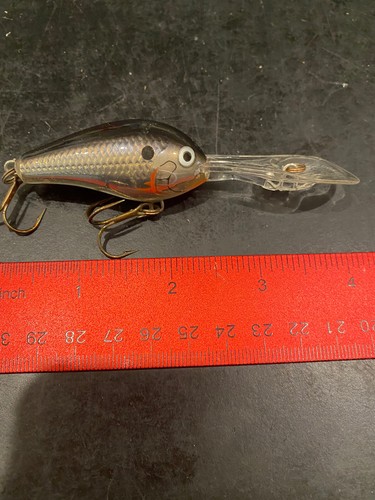 Rapala Fat Rap Down Deep #5 Silver Shad Rattles | eBay