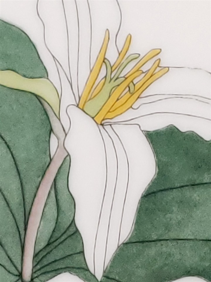 Block Spal China Watercolors Trillium Dinner Plate Set - Mary Lou ...