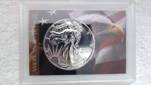 1987 SILVER EAGLE BU IN NICE EAGLE CASE. (SEE PICTURES) | eBay