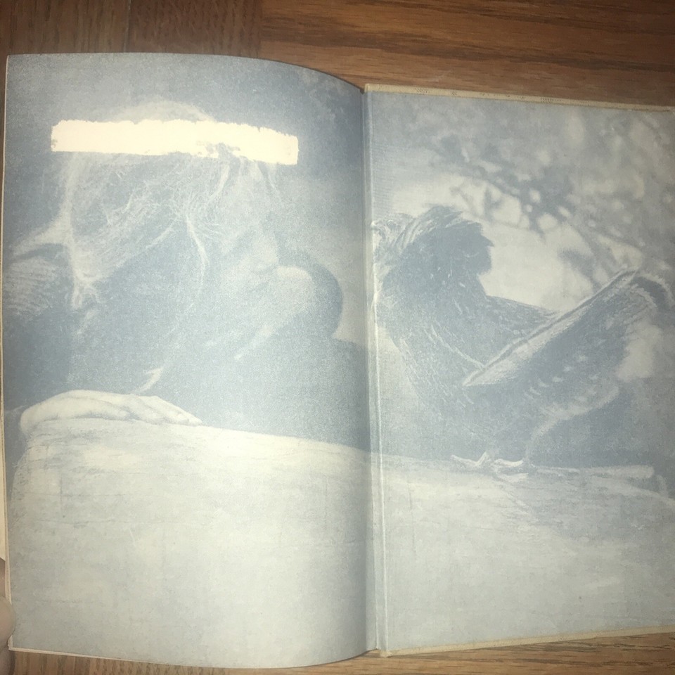 Book, Birds that every Child should Know, Neltje Blanchan hard copy ...