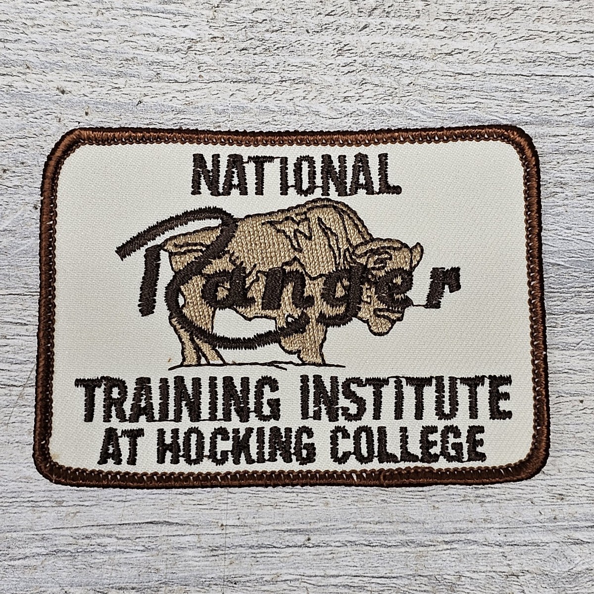 Hocking College Logo Hocking College Hawks Fanthread™ Men's Color