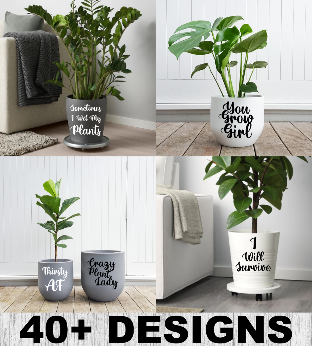 House Plant Quotes