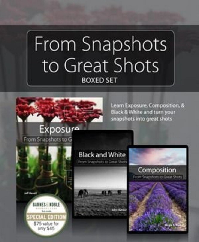 From Snapshots to Great Shots, Special Barnes & Noble Boxed Set DVD-ROM ...
