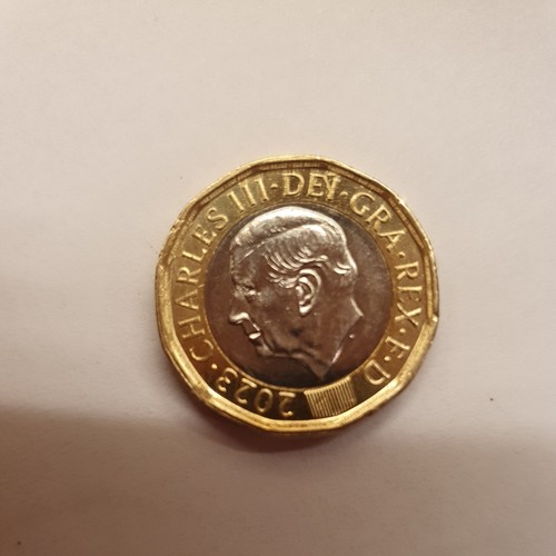 Royal Mint 2023 Bees £1 One Pound error coin | eBay UK