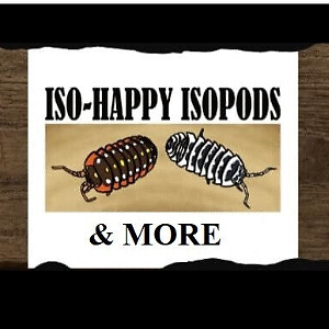 Iso-Happy Isopods and More | eBay Stores