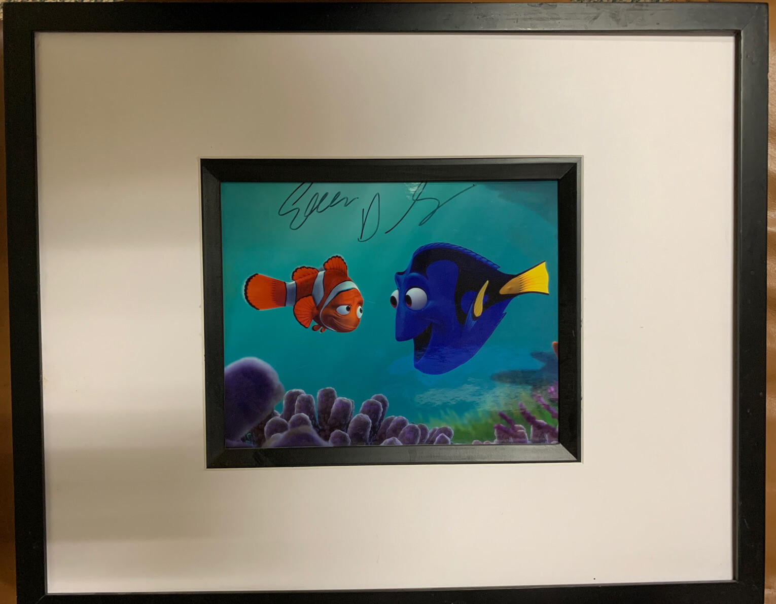 Nemo Ellen Degeneres Authenticated Autograph Finding Nemo. | eBay