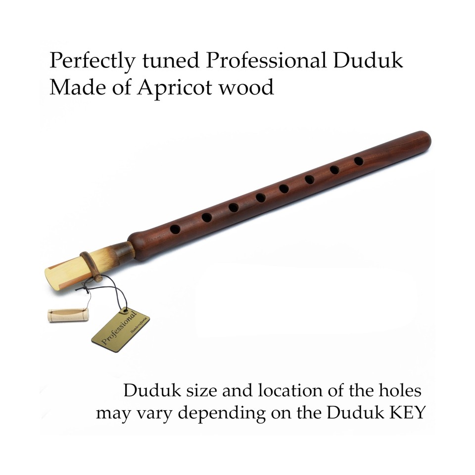 Professional Armenian DUDUK instrument from apricot wood, wooden case ...