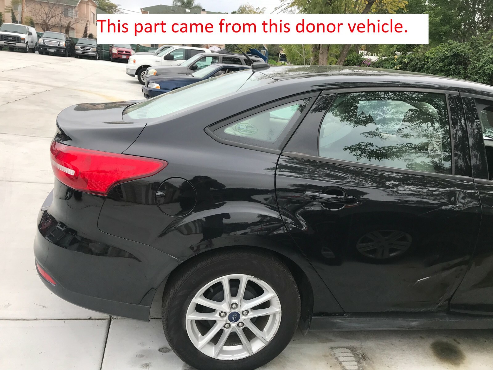 2012 - 2018 FORD FOCUS Rear Door Window Frame Trim Molding Passenger ...