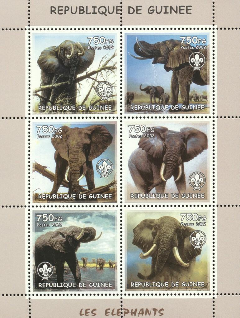 (203146) Scouting, Elephants, Guinea | eBay