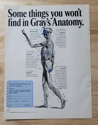 1968 Warner Chilcott PHARMACEUTICALS Sinutab-Agoral Medicine Vintage ...