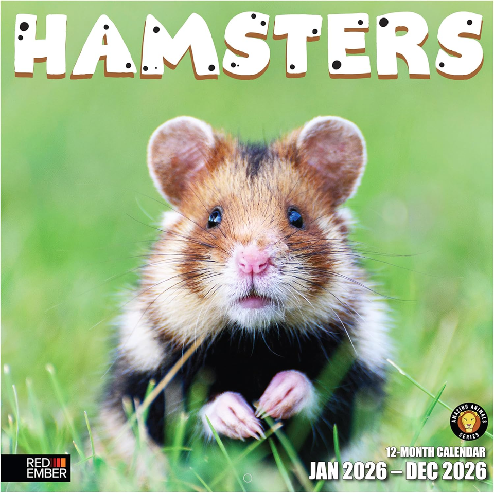 Hamsters 2026 Wall Calendar 12 Month | Thick & Sturdy Paper | Holiday ...