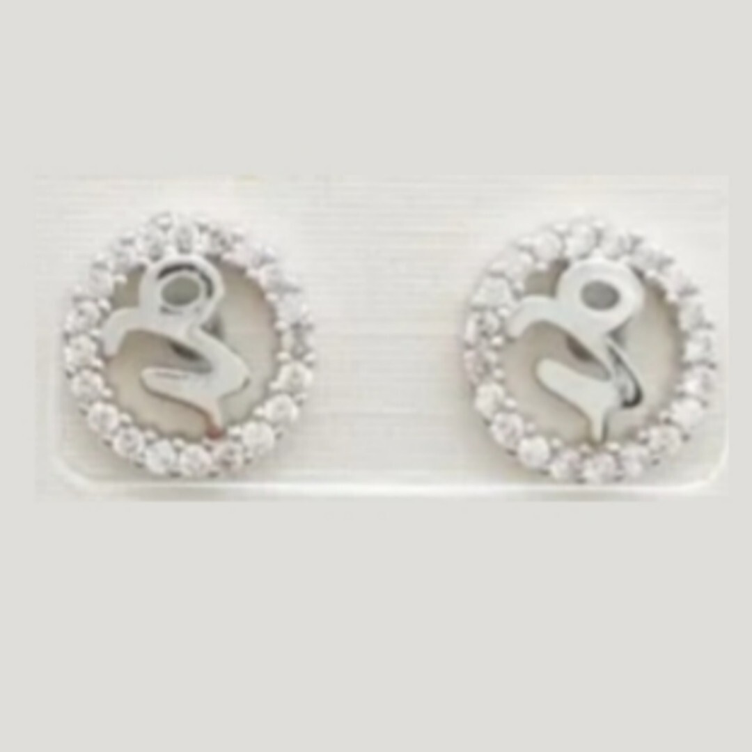 Stainless Steel Capricorn Zodiac Sign Cubic Zirconia Earrings ...