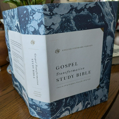 ESV Gospel Transformation Study Bible: Christ in All of Scripture ...