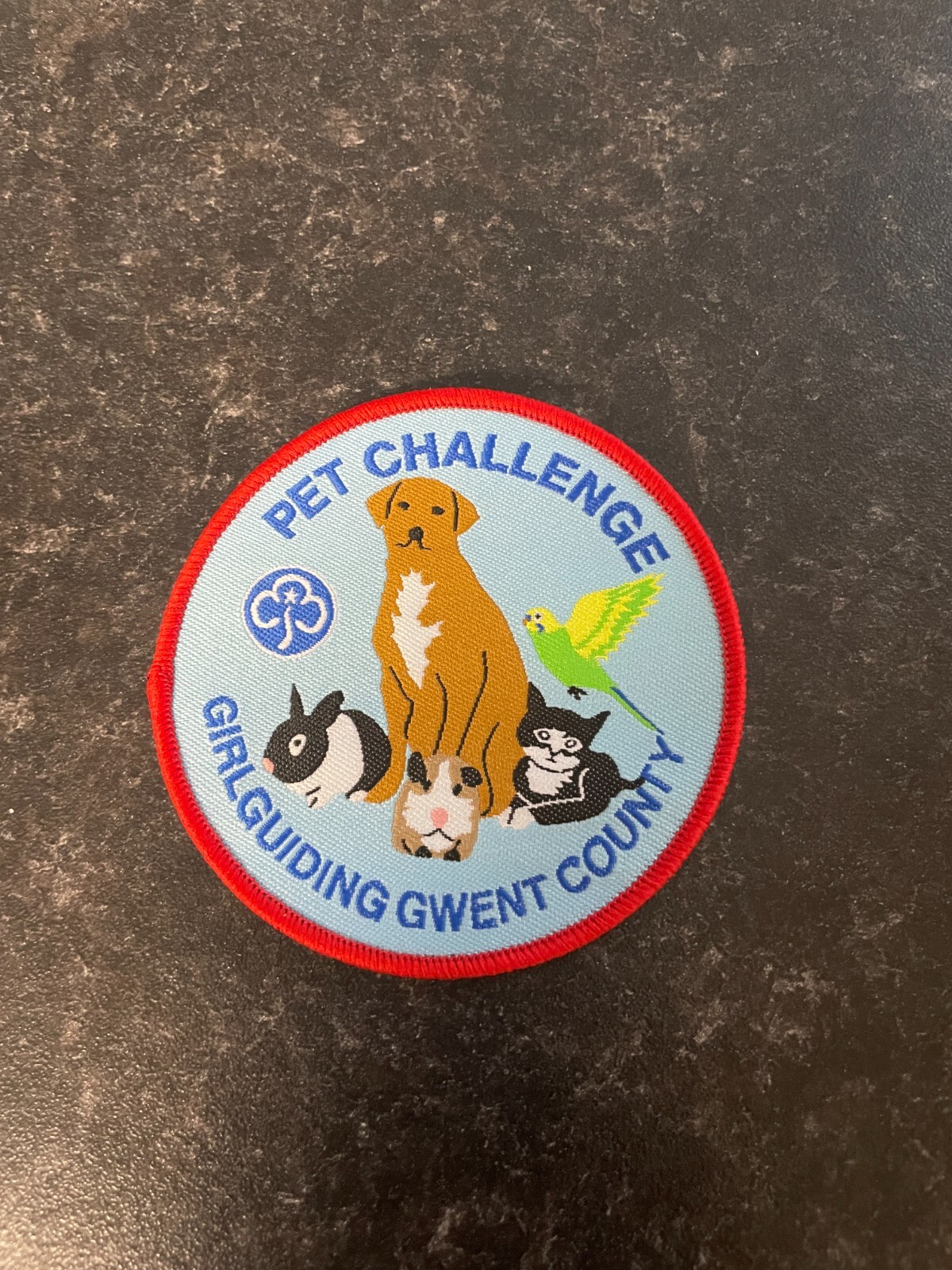 Girlguiding Challenge Badge - Pet Challenge | eBay UK
