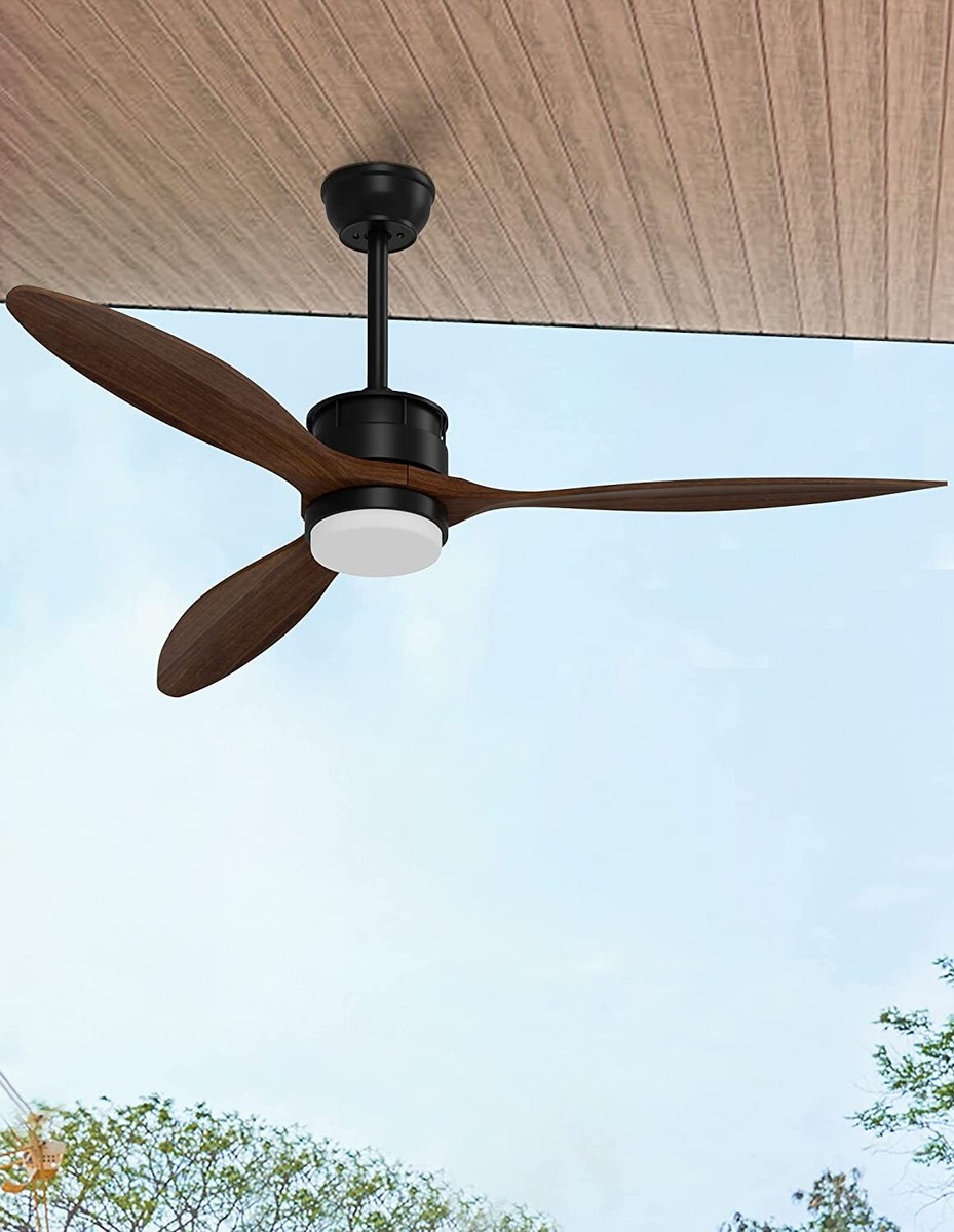 Outdoor Walnut Ceiling Fan | Shelly Lighting