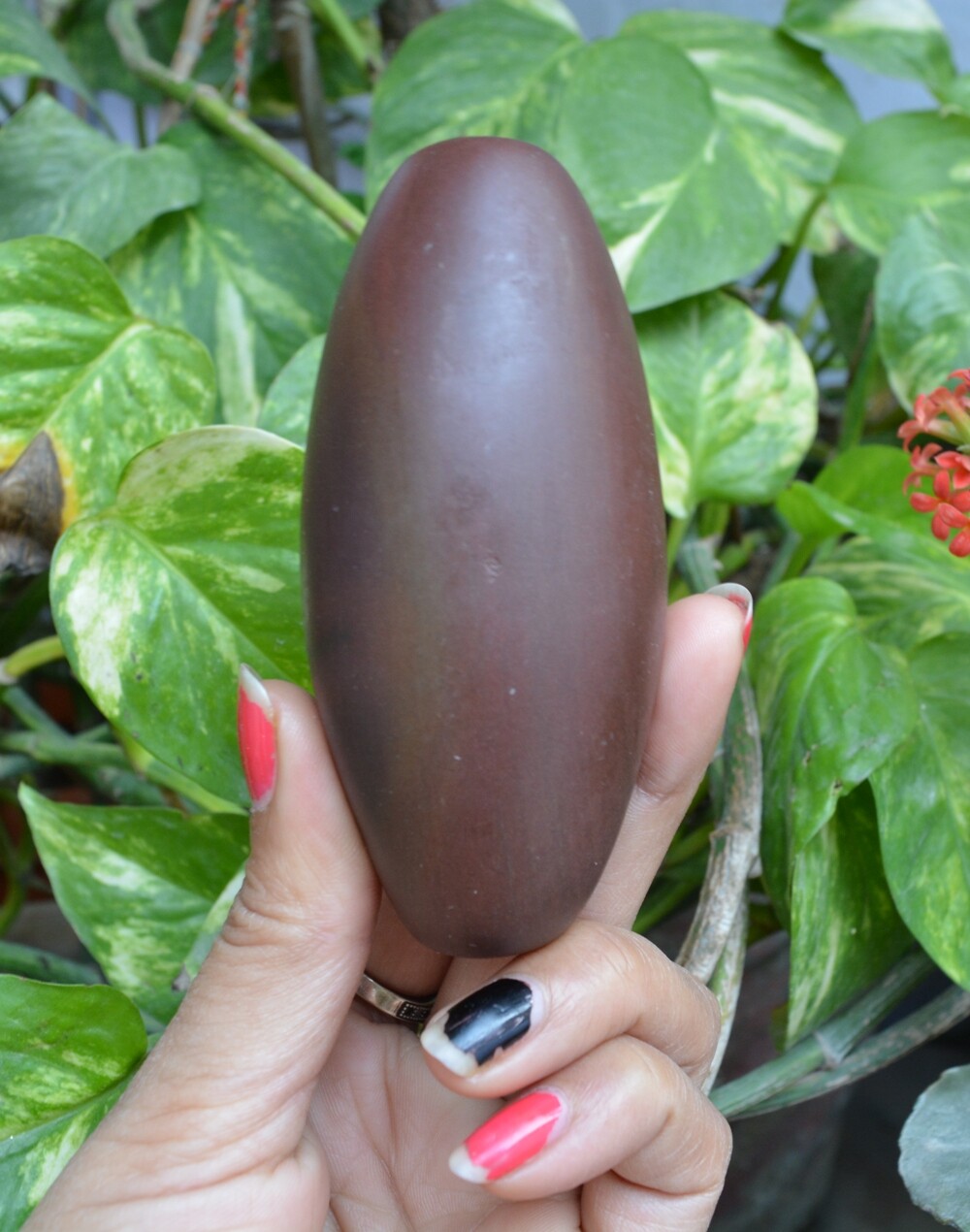 Rare Pious SHIVA LINGAM Sacred & Crystal Healing Narmanda River Stone~I ...