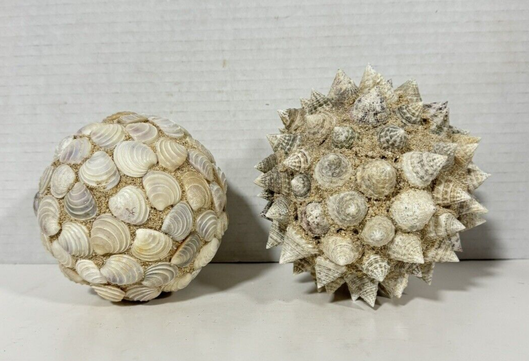 Lot of 2 Genuine Seashell Shell Orb Ball Sphere Nautical Coastal Beach ...