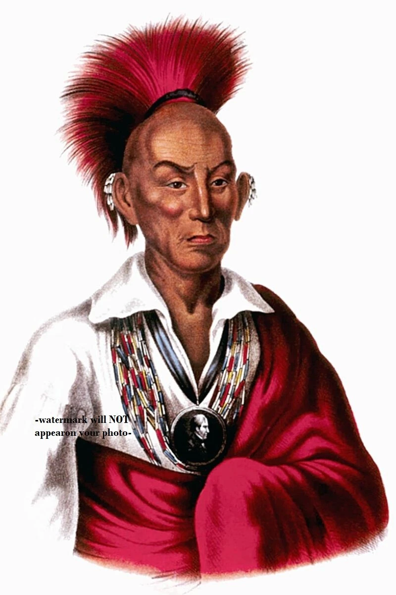 Native American Warrior Portrait