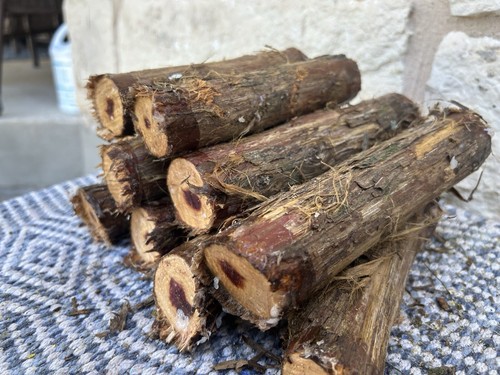Eastern Red Cedar Miniature Logs for Wood Carvers & Rustic Home Decor ...