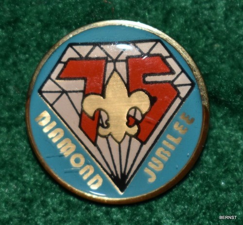 BOY SCOUT HAT PIN - 1985 DIAMOND JUBILEE | eBay