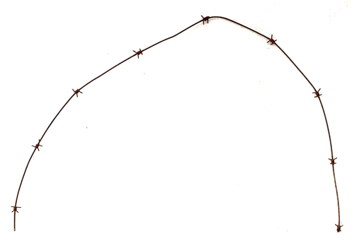 ANTIQUE SINGLE STRAND DOUBLE TWIST BARBED WIRE FENCING,RUSTY,VINTAGE ...