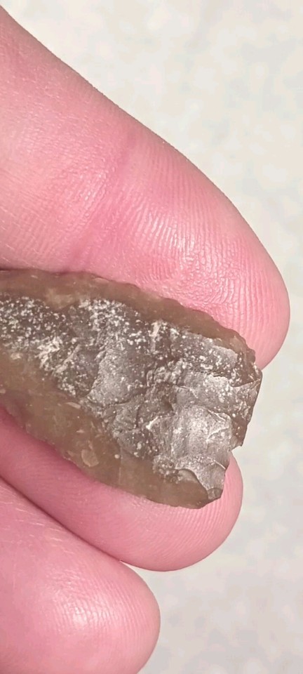 Extremely Rare Authentic South Texas Midland Projectile Point ...