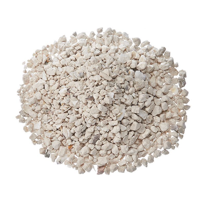 Oyster Shell Hi Calcium Grit Birds Chickens Ducks GARDEN POND NUTRIENT ...