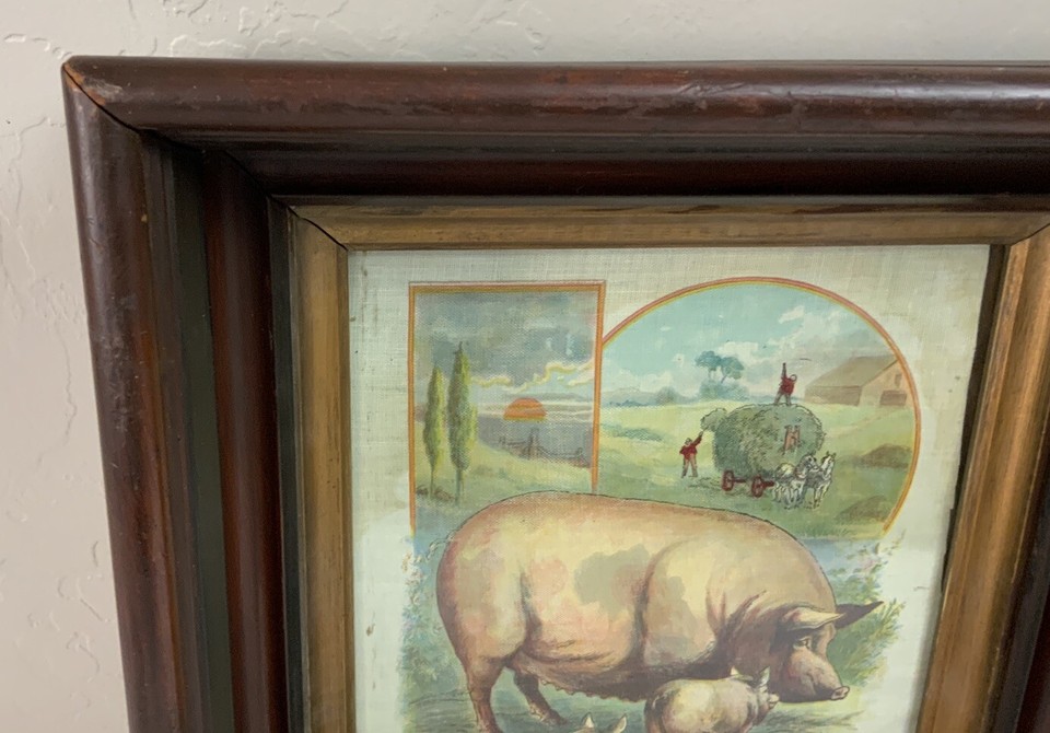 Antique Framed Victorian Linen Picture From Book, PIGS, Antique Walnut ...
