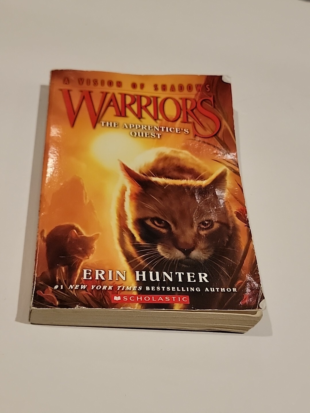 Warriors: A Vision of Shadows #1: The Apprentice's Quest -paperback- GOOD 9780062386373| eBay