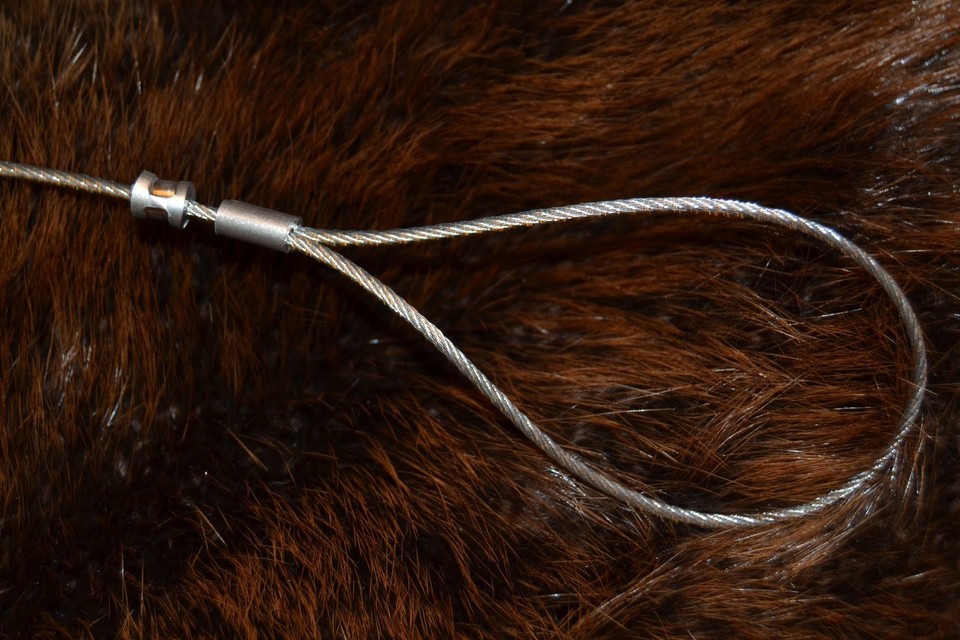Dog Proof Raccoon Trap Quick Tie Off 4FT Trap tie off traps trapping 1 ...