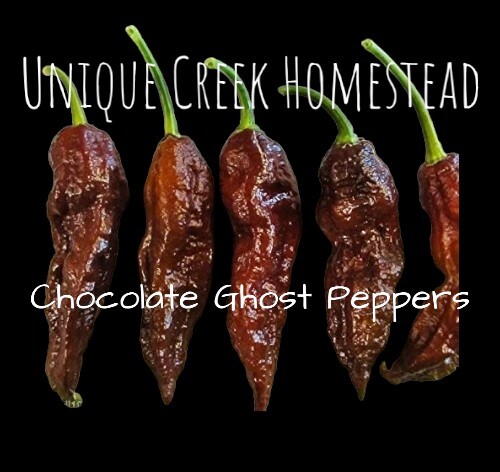 Bhut Jolokia CHOCOLATE GHOST Pepper Super Hot Seeds Unique Creek ...
